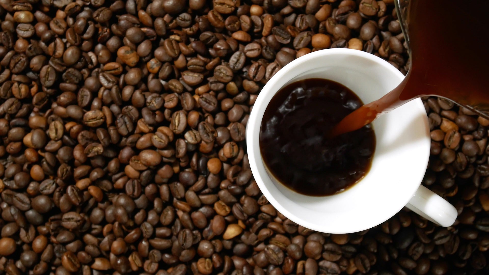 Jolly Java